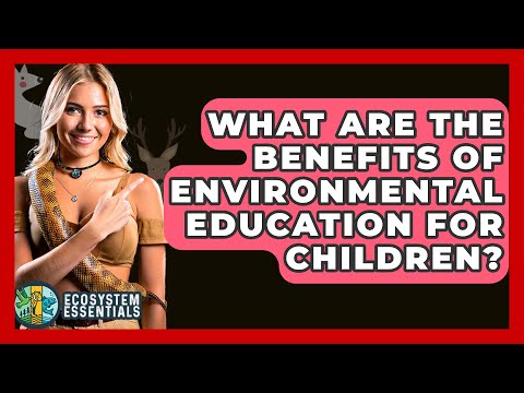 What Are the Benefits of Environmental Education for Children? - Ecosystem Essentials