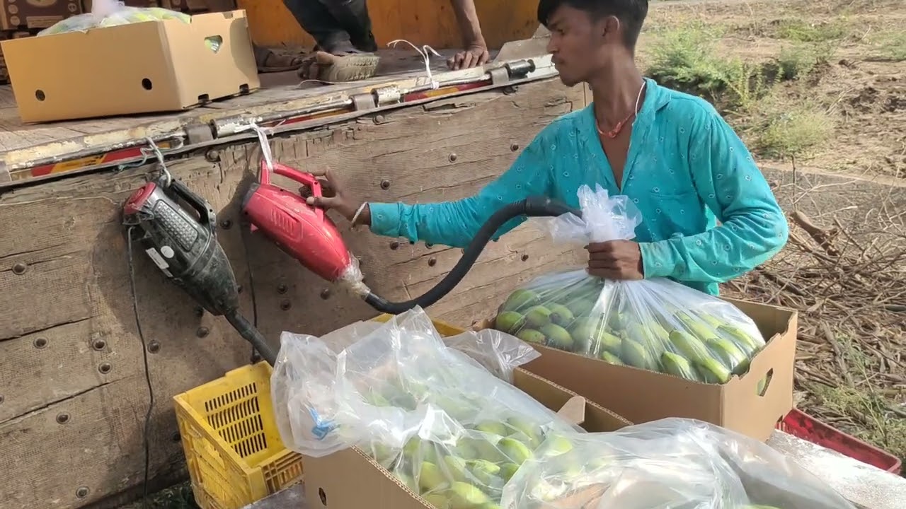 banana export packing