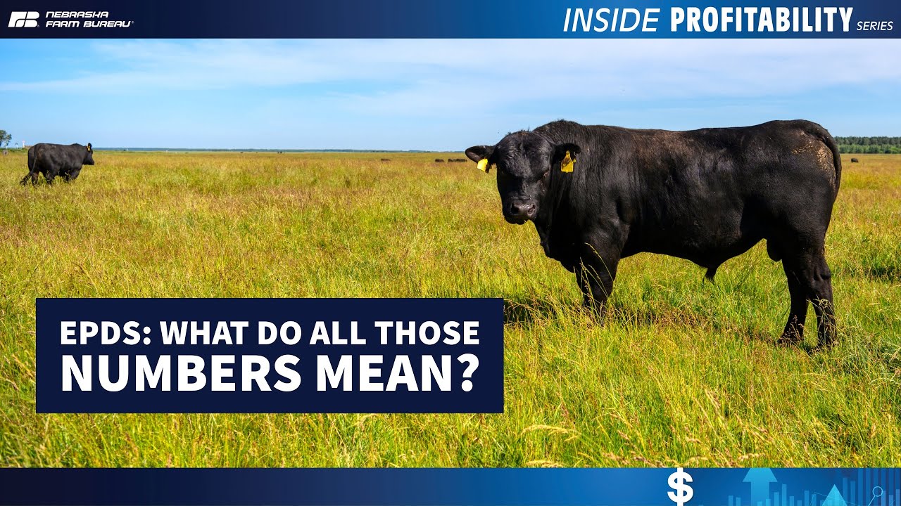 EPDs: What Do All Those Numbers Mean?