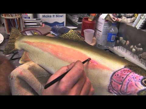 Taxidermy Gives Creatures New Life | Iowa Outdoors