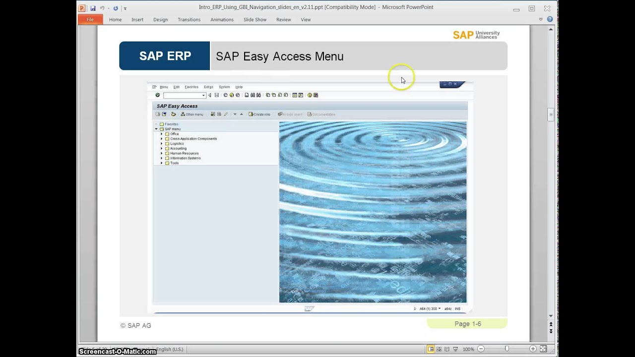 SAP navigation part 1