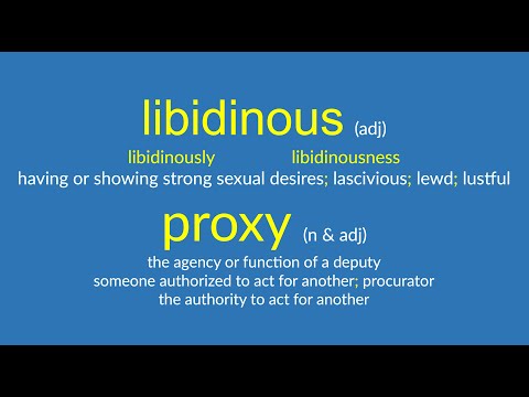 libidinous & proxy