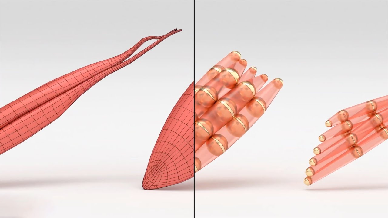Muscle Simulation...Now In Real Time! 💪