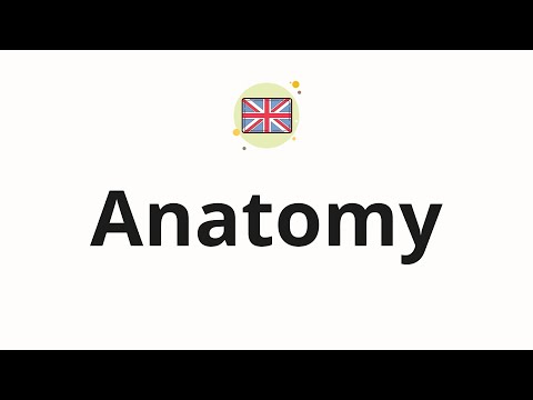 How to pronounce Anatomy