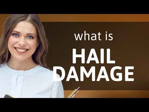 Understanding "Hail Damage": An English Language Learning Guide