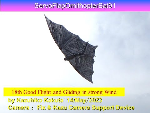 Free 3D file rc-bat 🚁・3D printing idea to download・Cults