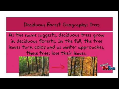 Temperate Deciduous Forest: Climate and Geography