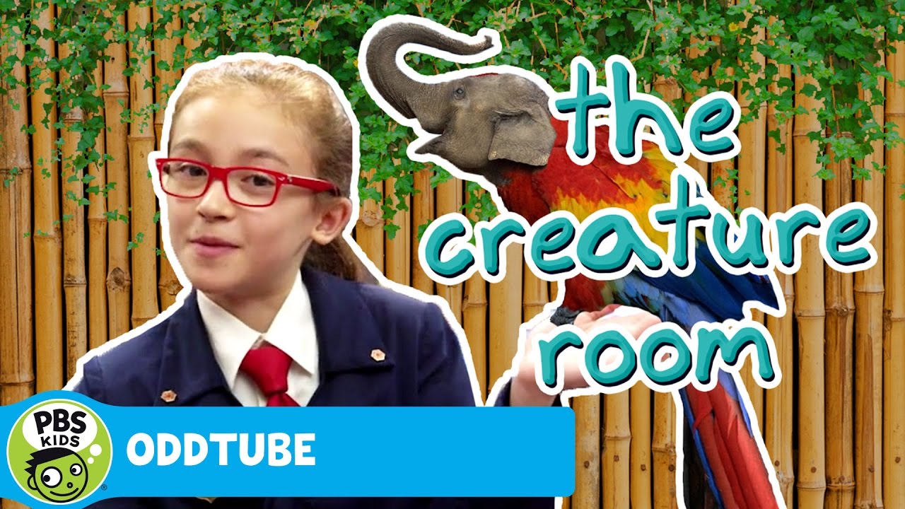 ODDTUBE | The Creature Room | PBS KIDS