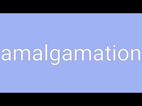 Amalgamation Definition & Meaning