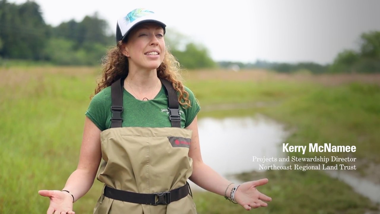 Connecting People with Nature - Freshwater Farms Reserve