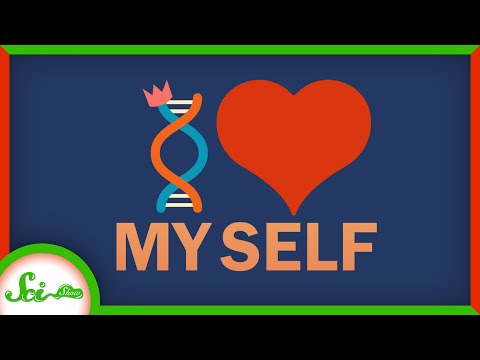 Why Some DNA Is Selfish