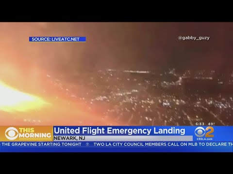 LAX-Bound Plane Forced To Return To Newark, New Jersey