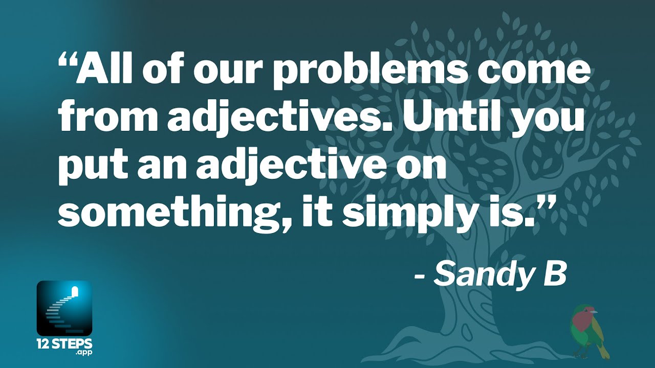 Sandy B. on life without labeling - AA Speaker