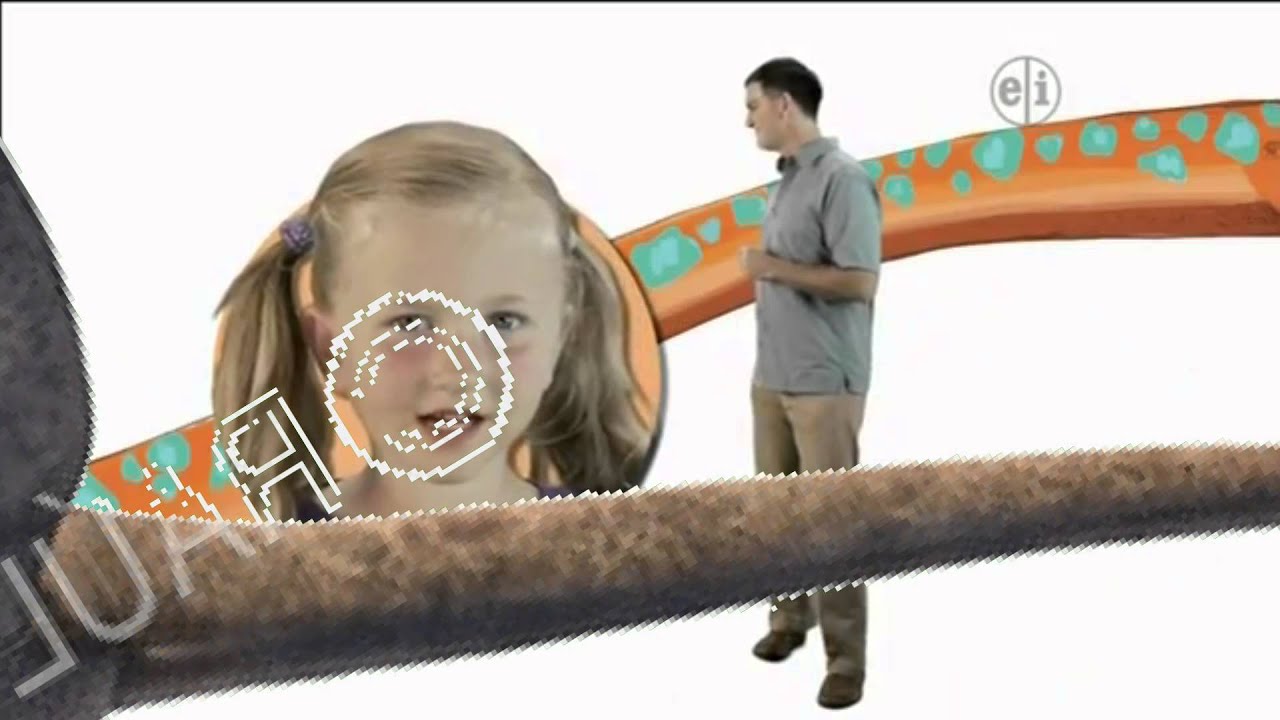 Dinosaur Discoveries Elasmosaurus
