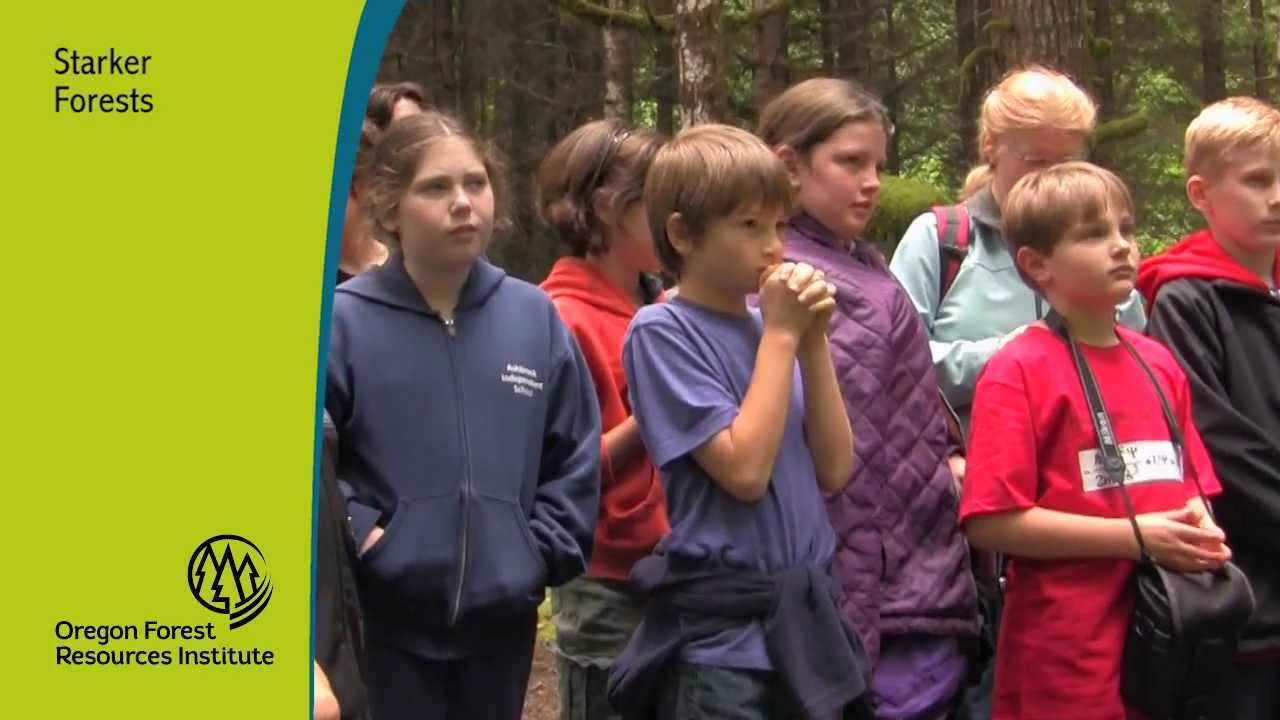 Starker Forests Education Program