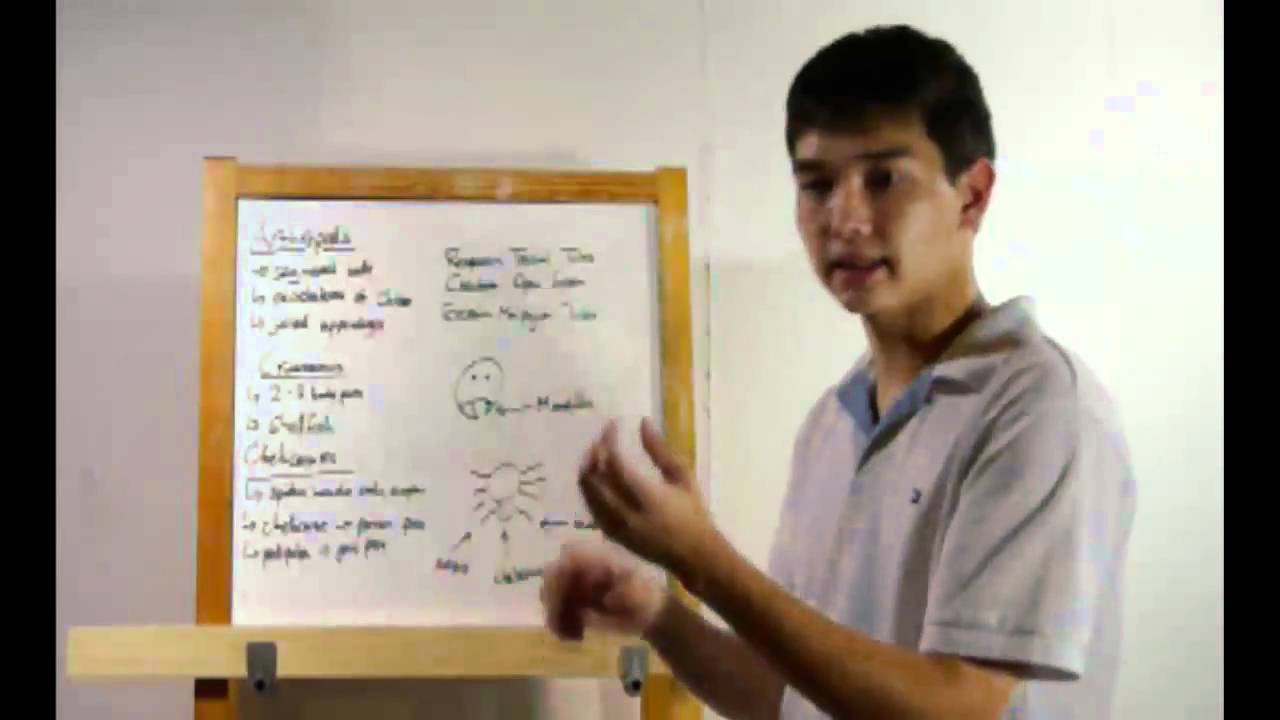 26 - Arthropods