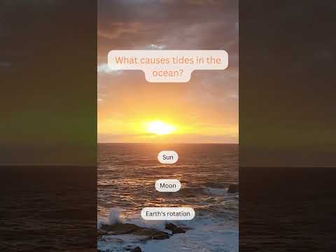What causes tides in the ocean