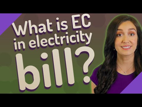 What is EC in electricity bill?