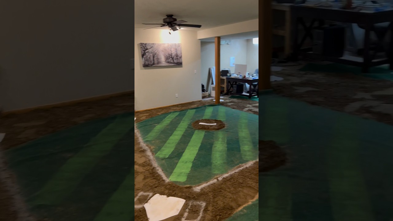 I Put A Baseball Field In My Parents House!
