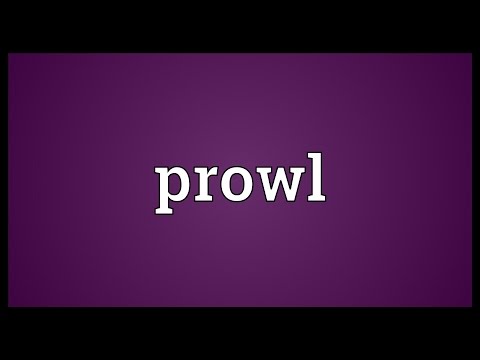 Prowl Meaning