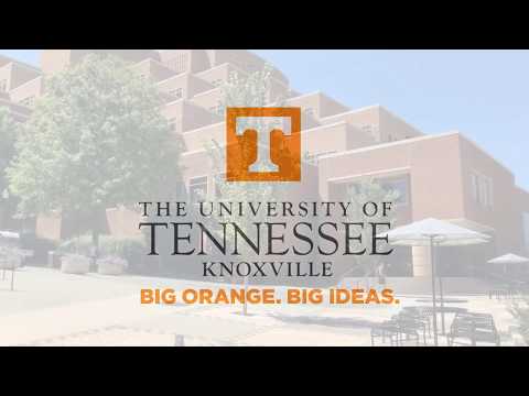 UT Libraries: 10 Things To Get You Started