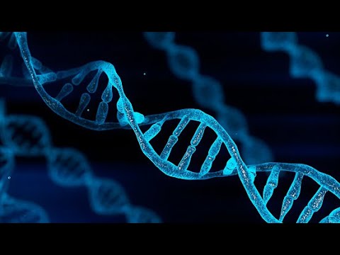 LEGO DNA Model!