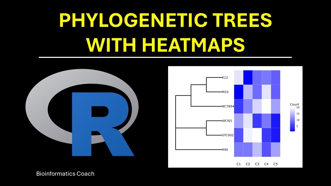Plotting  Phylogenetic Trees with Heatmap using ggtree R | DNA and Protein sequences