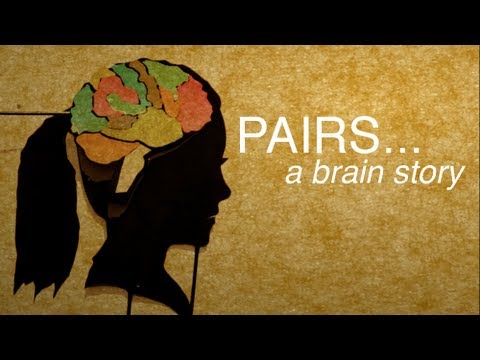 Pairs. A Brain Story. Your brain in love.