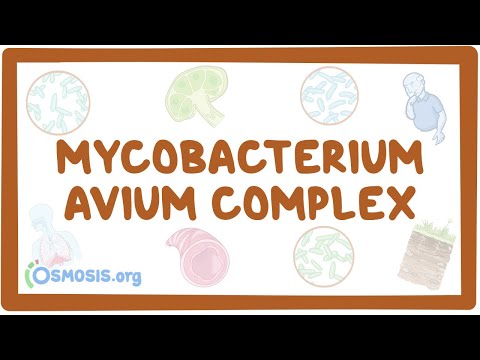 Mycobacterium avium complex - causes, symptoms, diagnosis, treatment, pathology