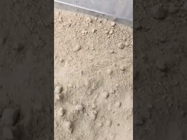Rice Bran - De Oiled Rice Bran Dorb Manufacturer from Indore