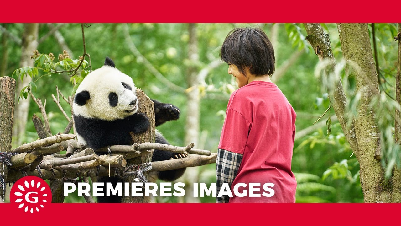 Moon The Panda | Movie 2025