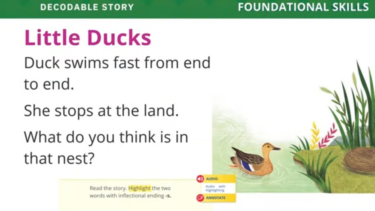 Little Ducks DECODABLE STORY Unit 2 Lesson 3  myView literacy Grade 1