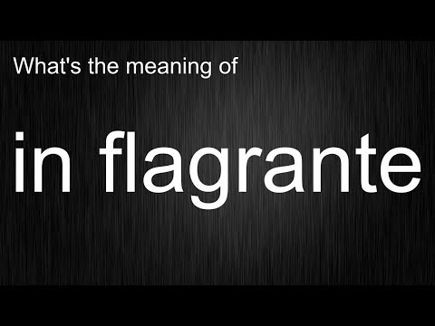 Pronunciation Determines Meaning! Full Breakdown of in flagrante Word Meaning and Pronunciation!