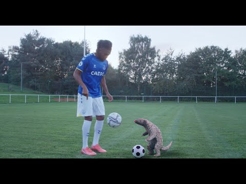 Alex Iwobi is on a mission to protect wildlife in Nigeria