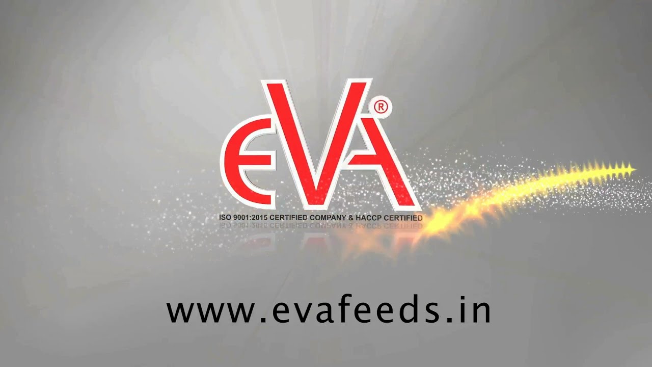 EVA GROUP CORPORATE FILM