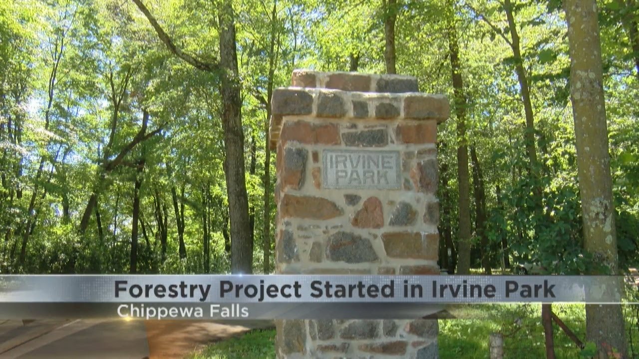 Forestry Project underway for Irvine Park