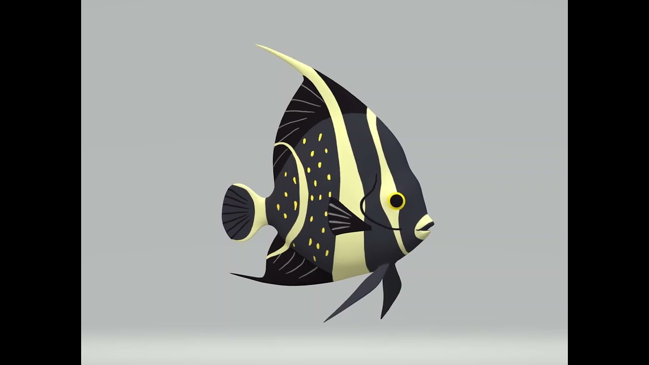 Black Angelfish 3D Model Ready to Print STL FBX OBJ