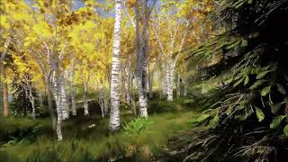 Skyrim VR - The Beauty of The Fall Forest at Skyrim Special Edition ...