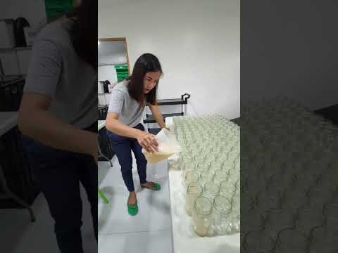 tissue culture๐ฑ๐ฟ #tissueculture #agriculture #educationalvideo