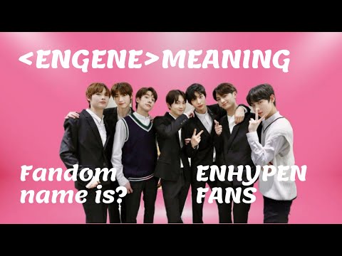 EHYPEN OFFICIAL FANDOM NAME UNVEILED