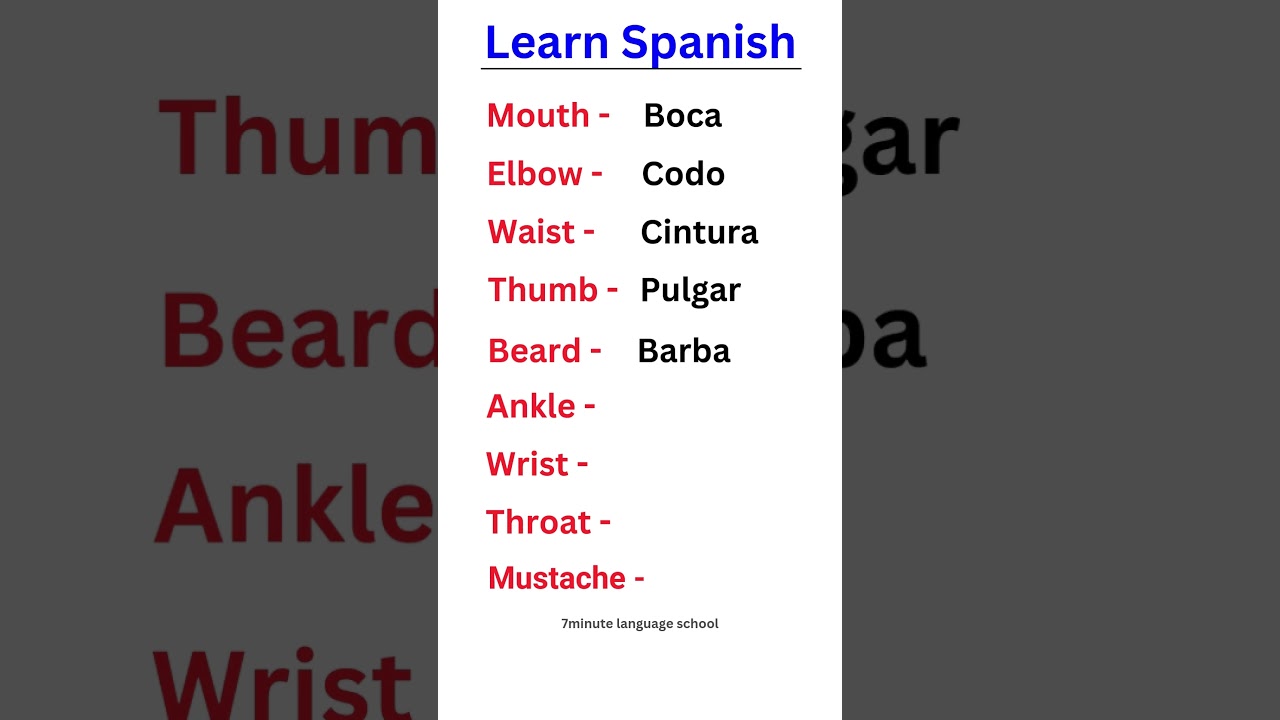Basic Spanish: Parts of the Body #learnspanish