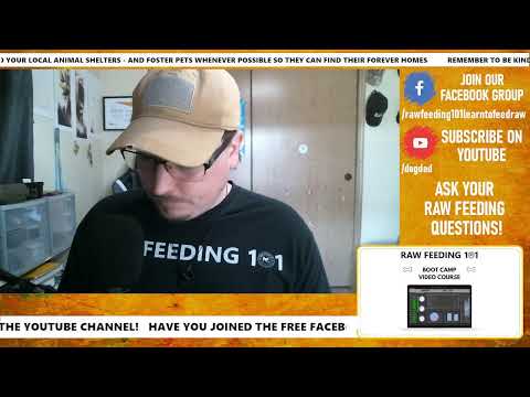 Raw Feeding Diarrhea & Vomiting: When is it a problem?