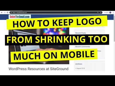 Keep Logo from Shrinking Too Much when viewed by Mobile Phone - Thrive Rise Theme
