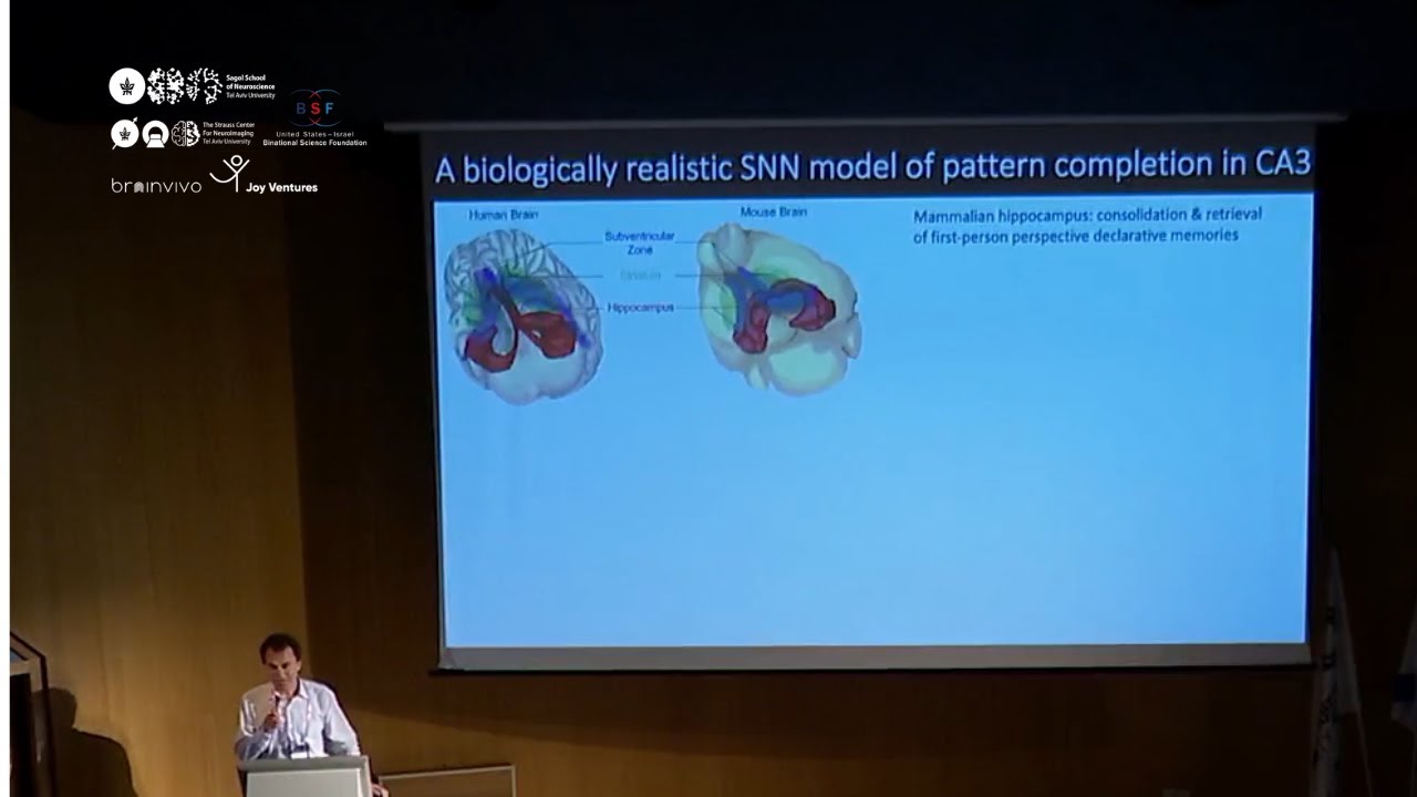 A biologically realistic spiking neural network model of pattern completion in the hippocampus