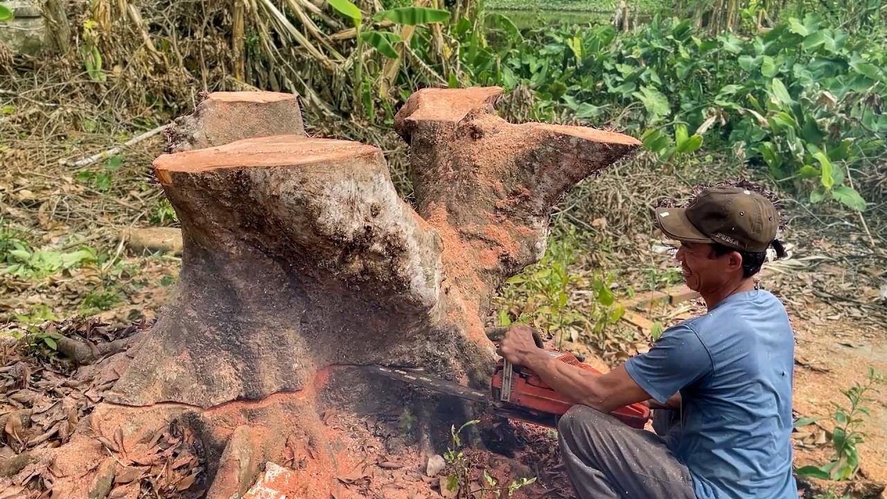 A Masterful Wood Sculpture Crafted From A Century-Old Root // Art Outdoor Table