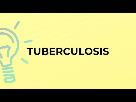 What is the meaning of the word TUBERCULOSIS?