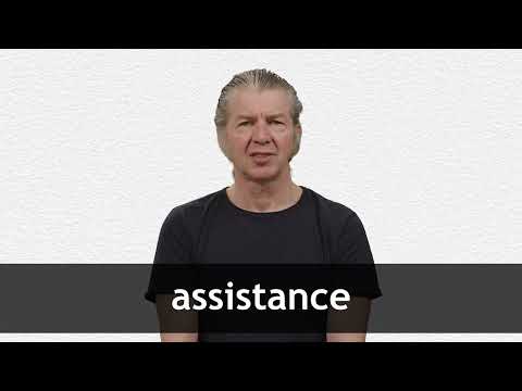 ASSISTANCE 释义 | 柯林斯英语词典