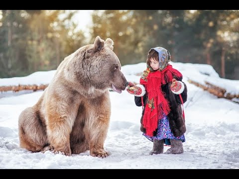 The Meaning of Bears in Dreams/Biblical Dream Interpretation!