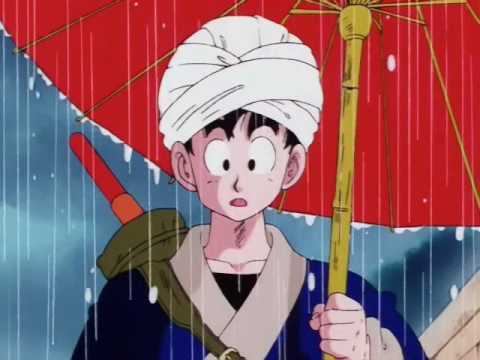 Gokú crecido