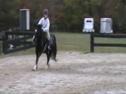 Sparkle Sales Video 0001